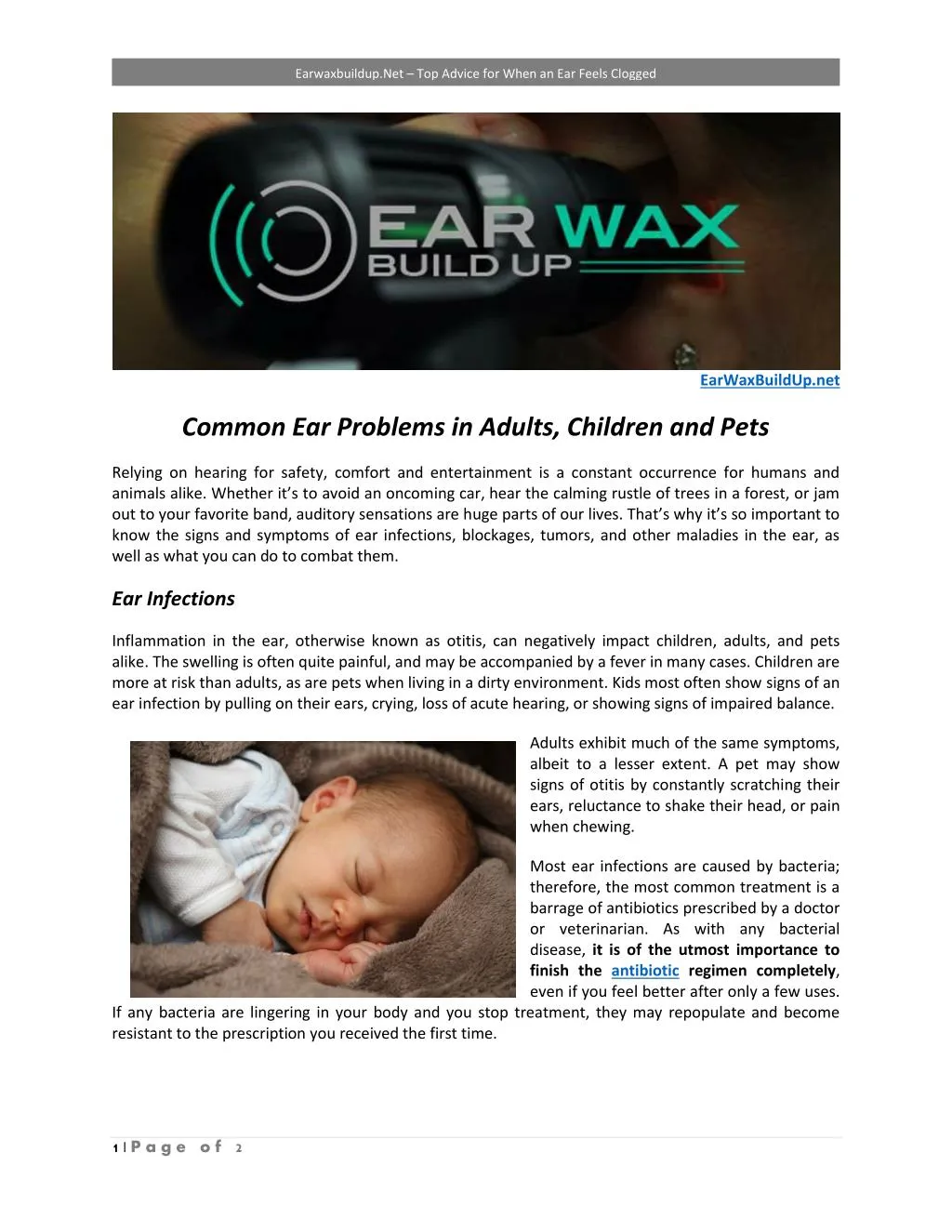 PPT - Common Ear Problems in Adults, Children and Pets PowerPoint ...