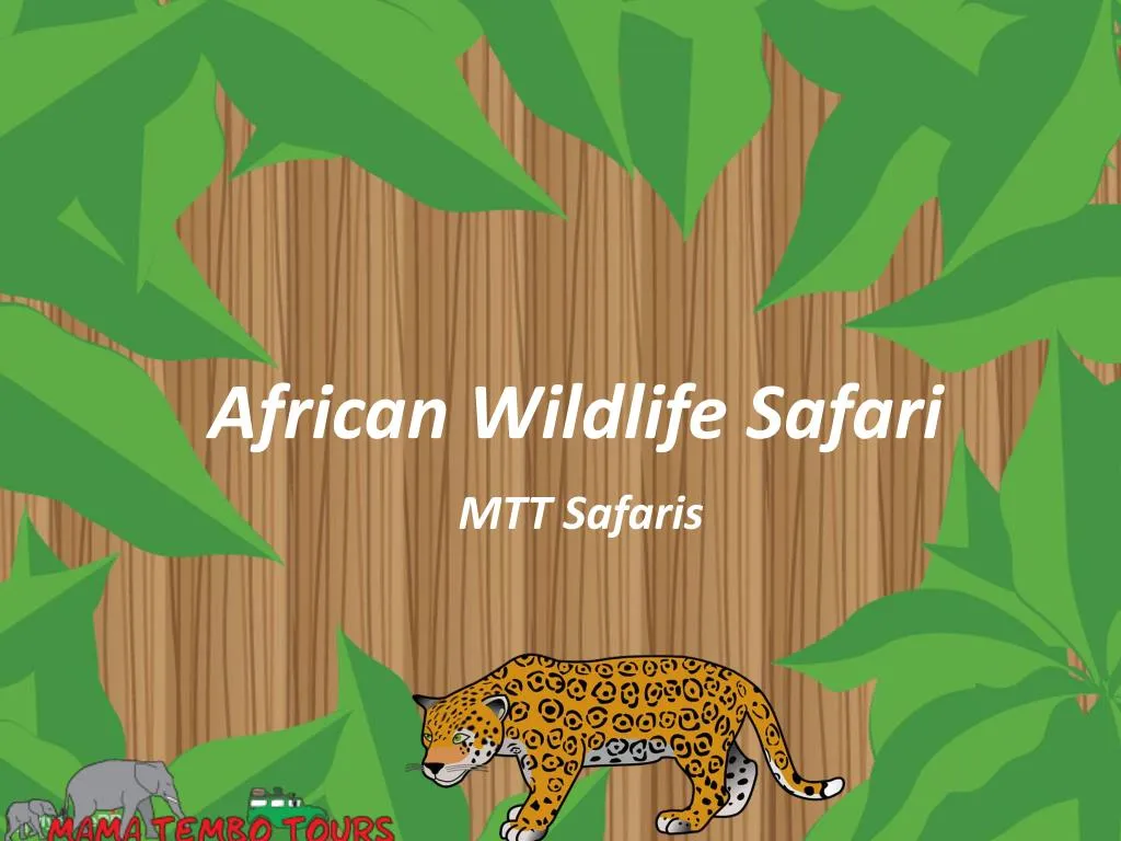 PPT - African Wildlife Safari: Insider Secrets for the Photographic ...