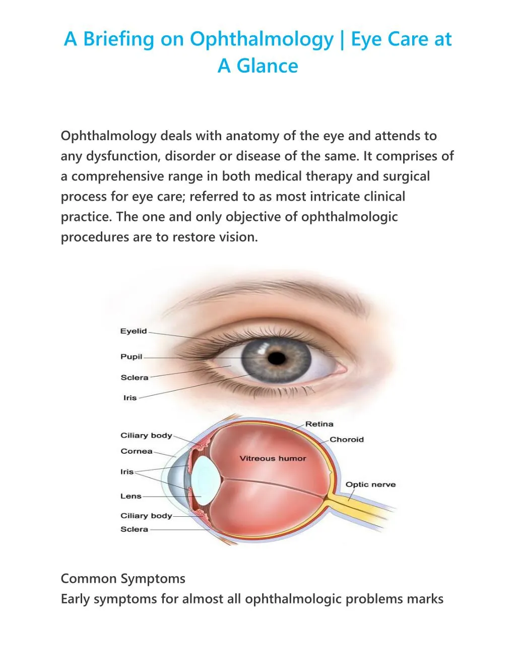 PPT - A Briefing on Ophthalmology – Eye Care At A Glance PowerPoint ...
