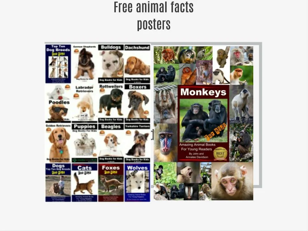 PPT - free animal facts posters PowerPoint Presentation, free download ...