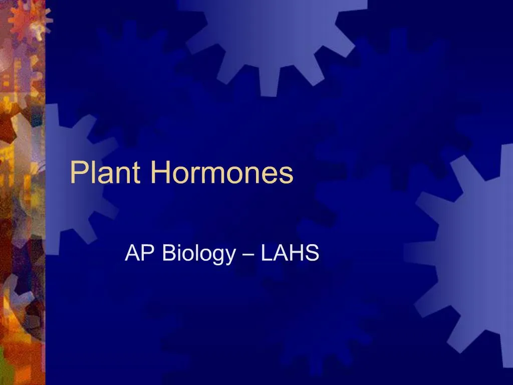 PPT - Plant Hormones PowerPoint Presentation, free download - ID:733970