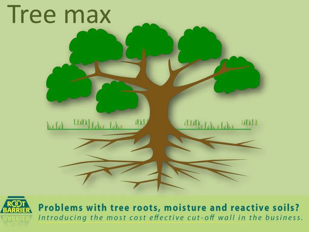 PPT - Tree max - Root Barrier PowerPoint Presentation, free download ...