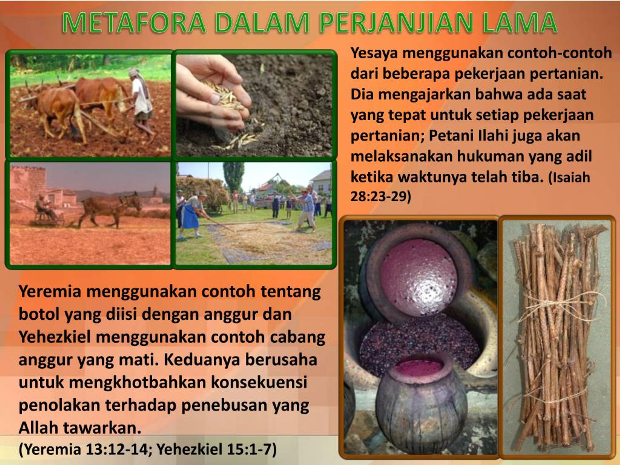 PPT - Pemuridan PowerPoint Presentation, free download - ID:7366842