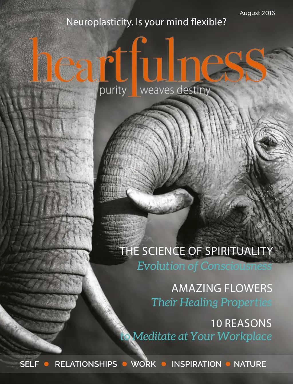 PPT - Heartfulness Magazine Issue 10 PowerPoint Presentation, free ...