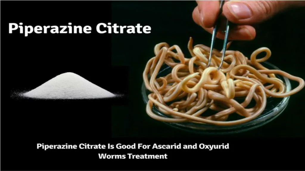 PPT - Why Piperazine citrate is a perfect for treating? PowerPoint ...