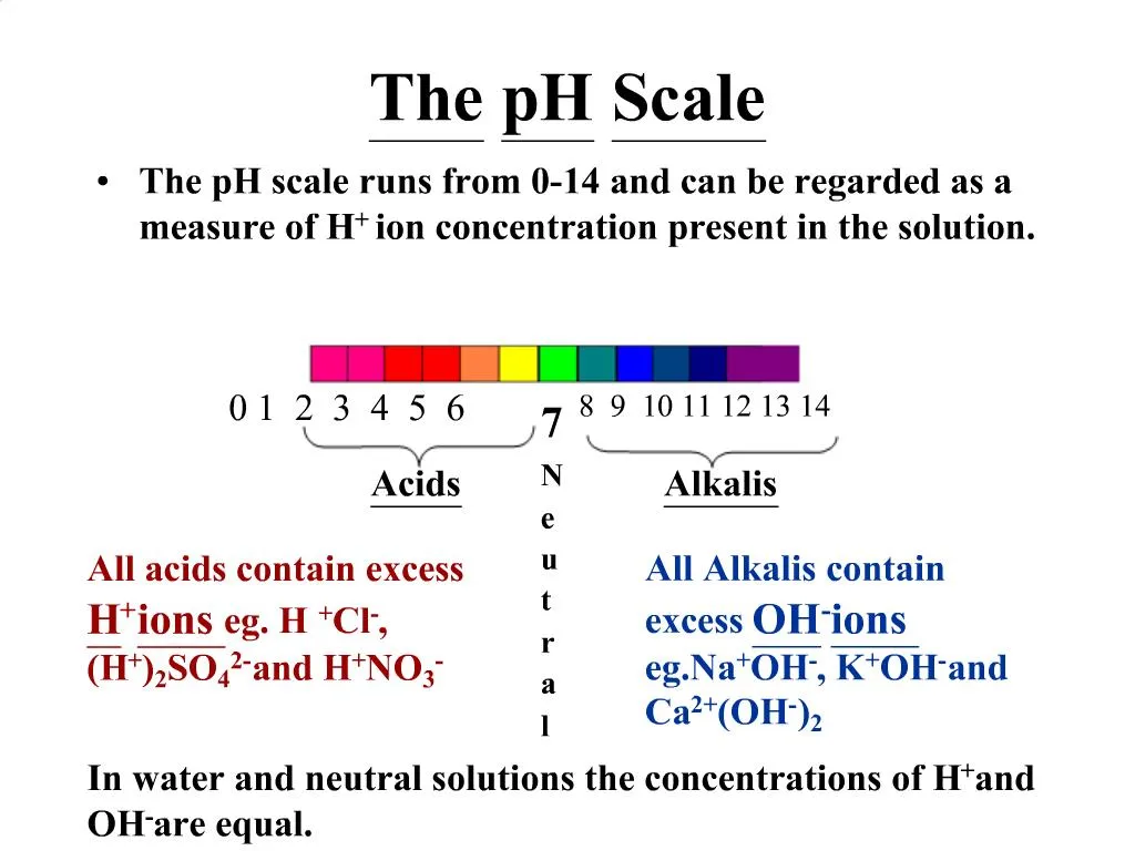 PPT - The pH Scale PowerPoint Presentation, free download - ID:739034