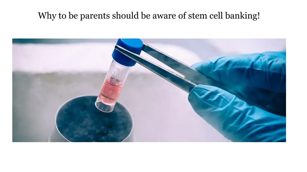 PPT - Why to be parents should be aware of stem cell banking ...