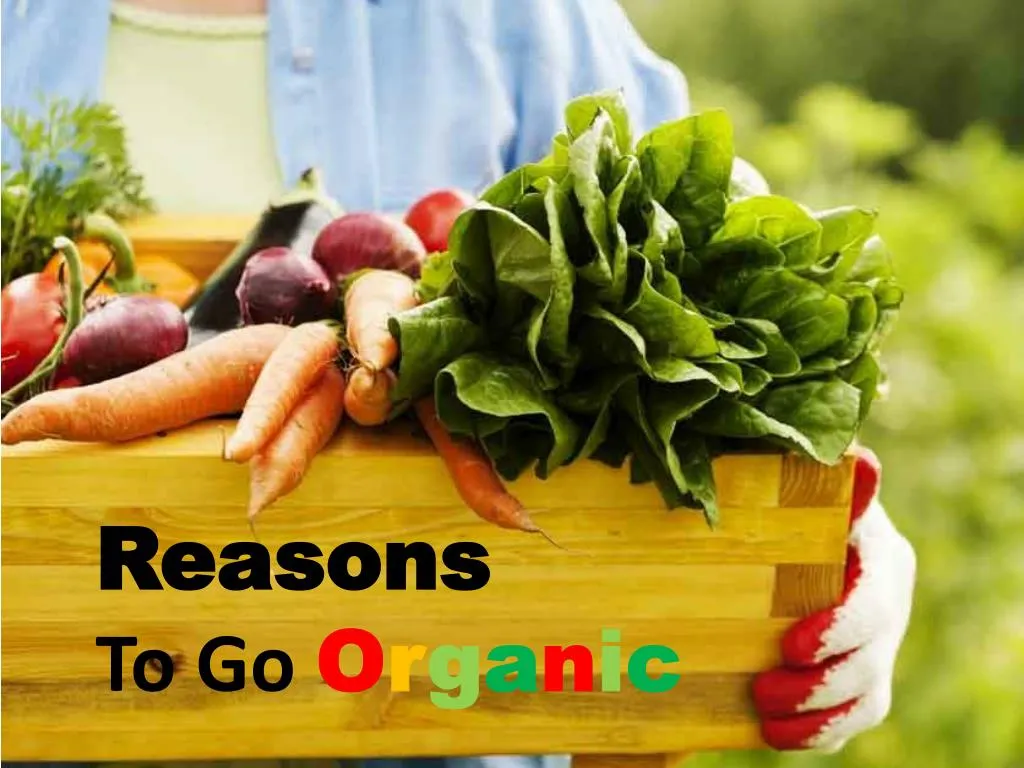 PPT - Top Reasons Why You Should Go Organic PowerPoint Presentation ...