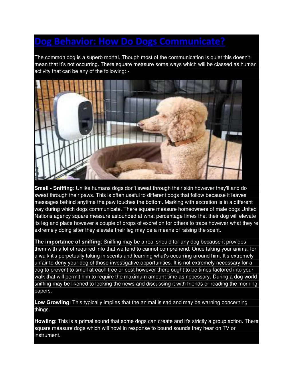 PPT - Dog Behavior: How Do Dogs Communicate? PowerPoint Presentation ...