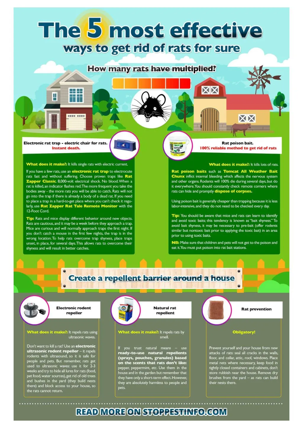 PPT - How to get rid of rats in the yard and house? PowerPoint ...