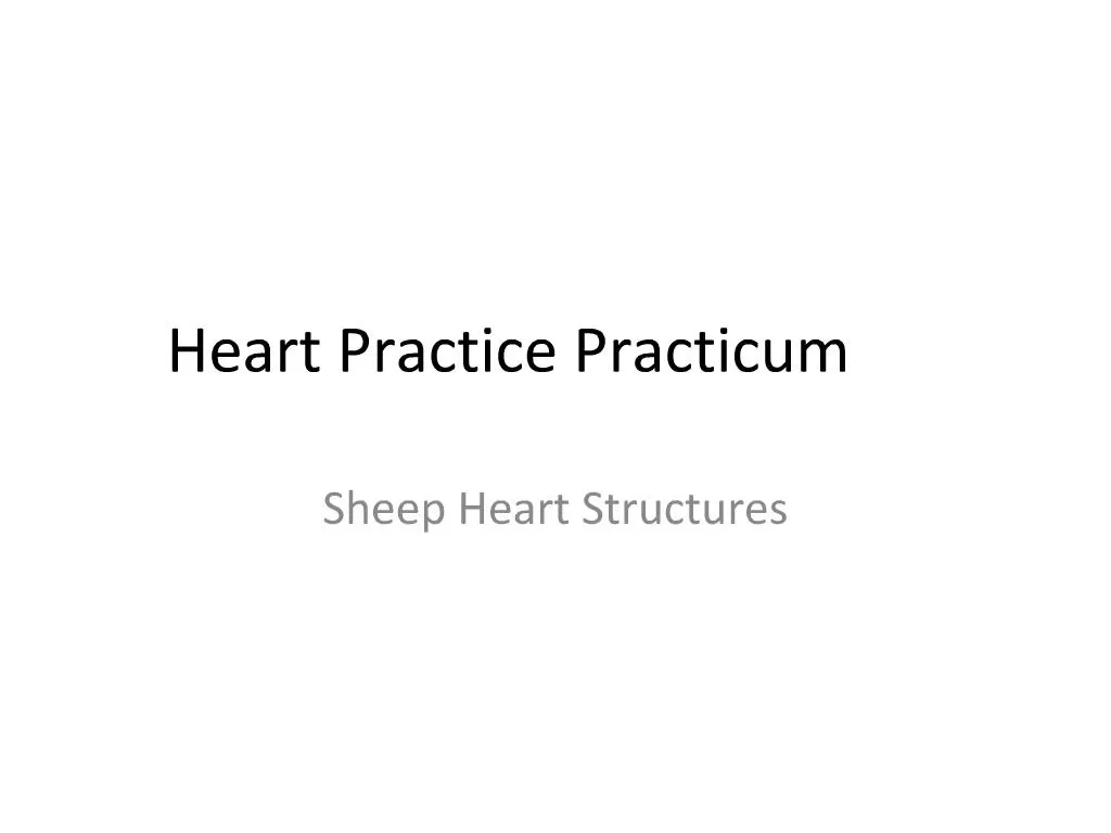 PPT - Heart Practice Practicum PowerPoint Presentation, free download ...