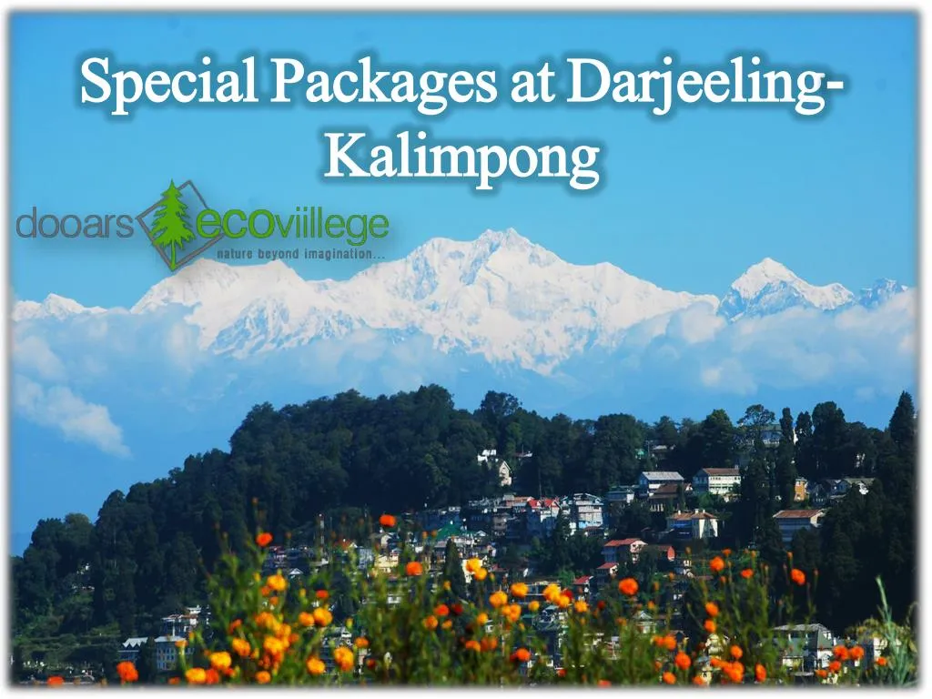 PPT - Complete Packages for Darjeeling-Kalimpong/Delo-LAVA. PowerPoint ...