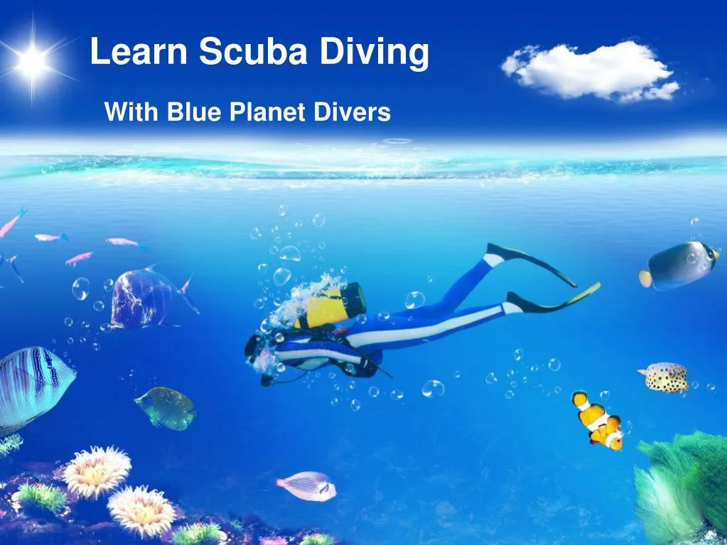 PPT - Learn Scuba Diving PowerPoint Presentation, free download - ID ...