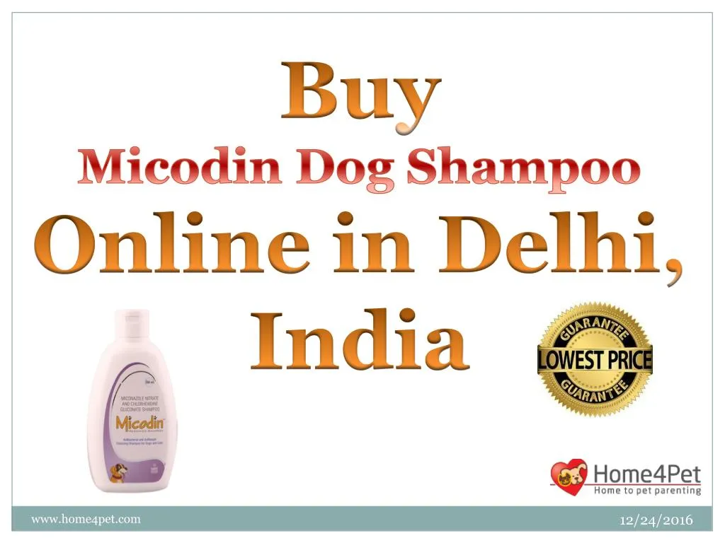 PPT - Buy Micodin Dog Shampoo Online, Delhi, India PowerPoint ...