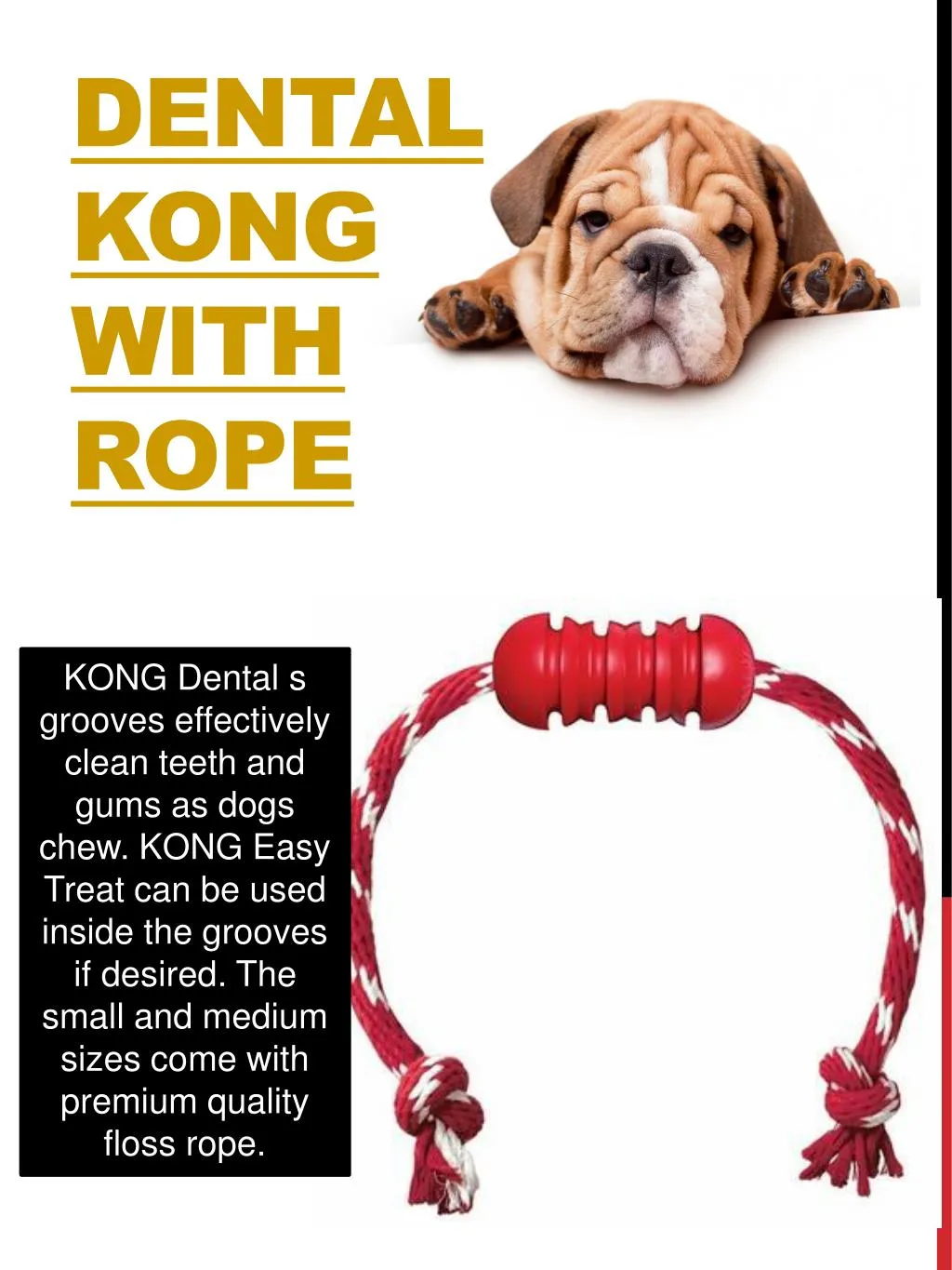 PPT - Dental Kong With Rope PowerPoint Presentation, free download - ID ...