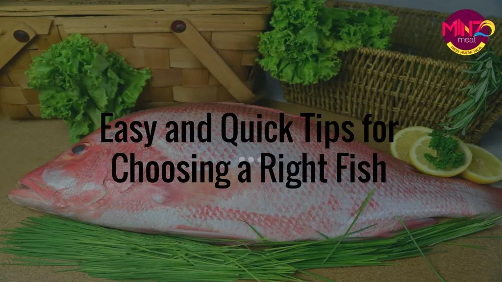 PPT - Easy and Quick Tips for Choosing a Right Fish PowerPoint ...