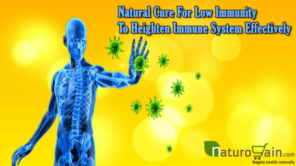 PPT - Natural Cure For Low Immunity To Heighten Immune System ...