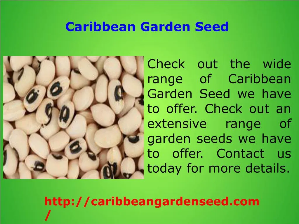 PPT - Untreated Seeds for sale PowerPoint Presentation, free download ...