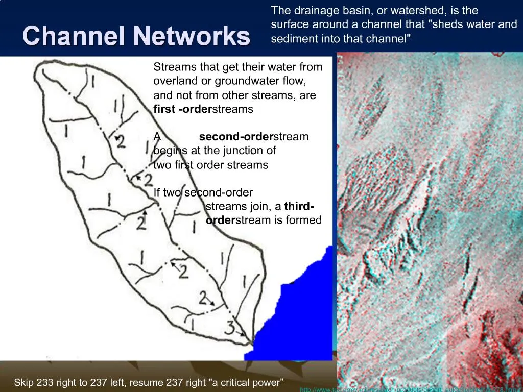 PPT - Channel Networks PowerPoint Presentation, free download - ID:749362