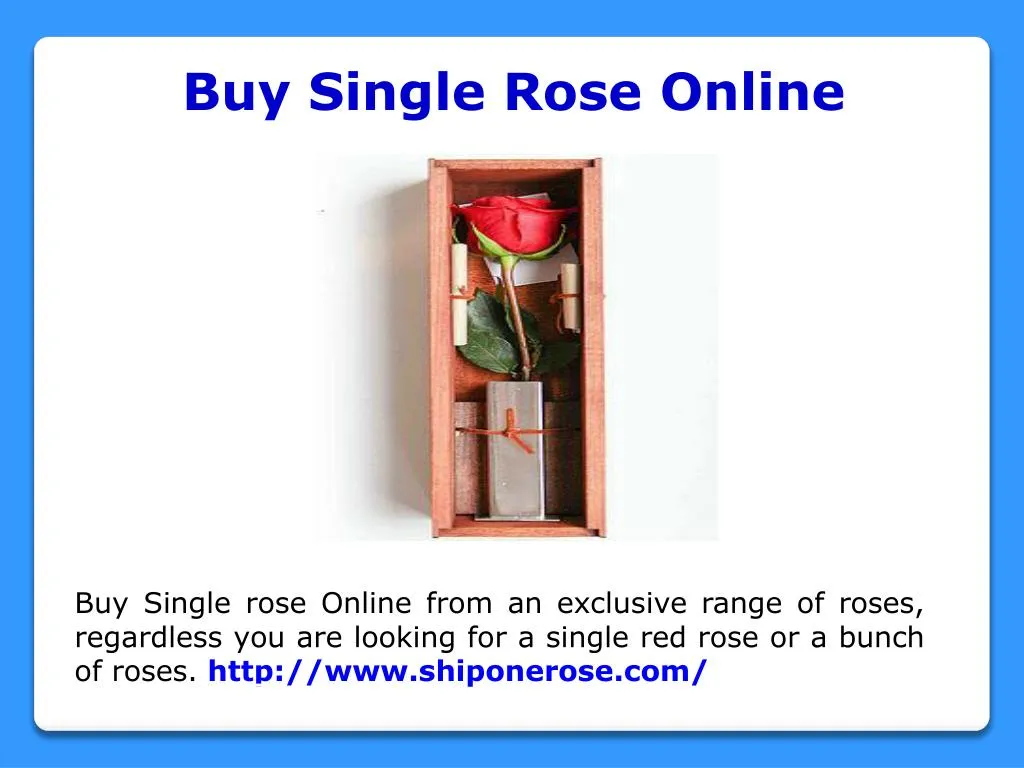 PPT - Send Single Rose Online PowerPoint Presentation, free download ...