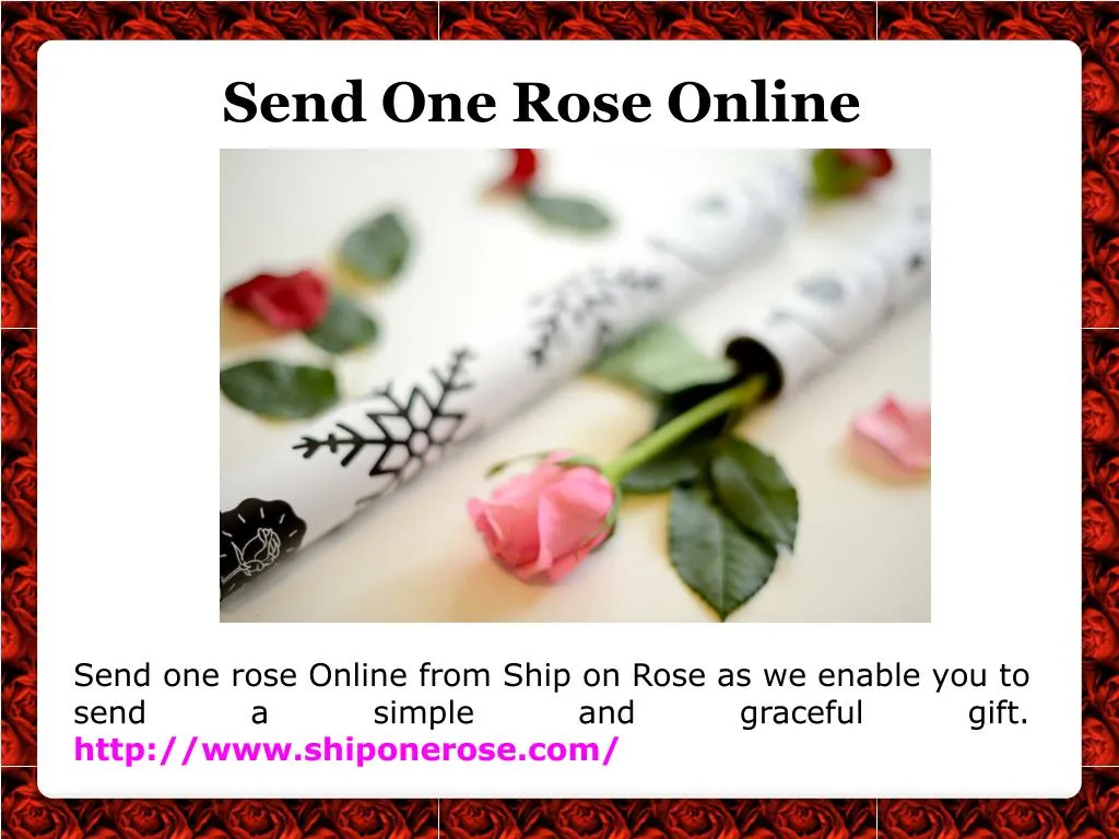 PPT - Single Rose Delivery PowerPoint Presentation, free download - ID ...