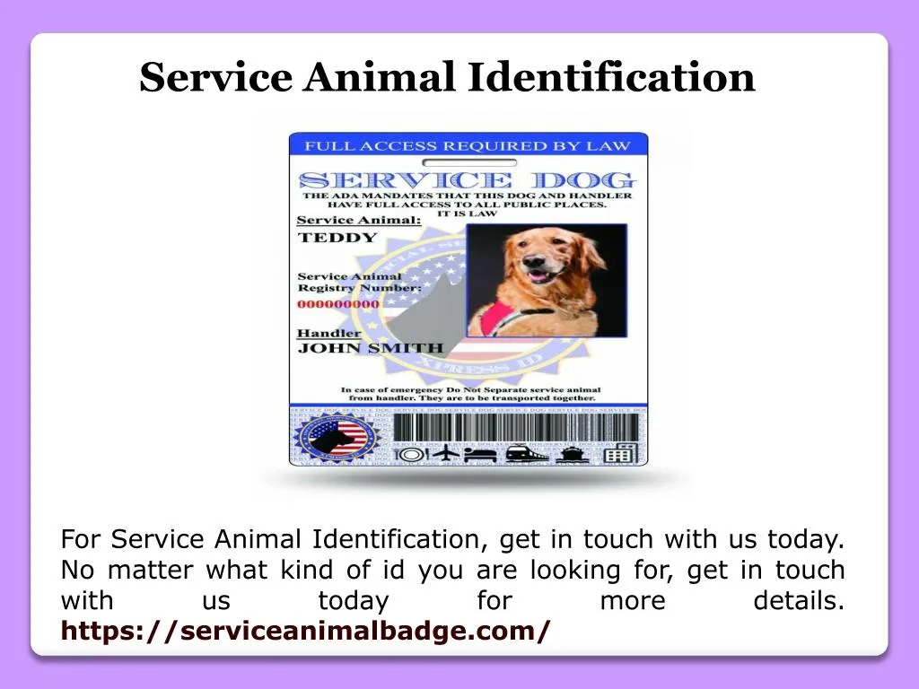 PPT - Top Quality Dog ID PowerPoint Presentation, free download - ID ...