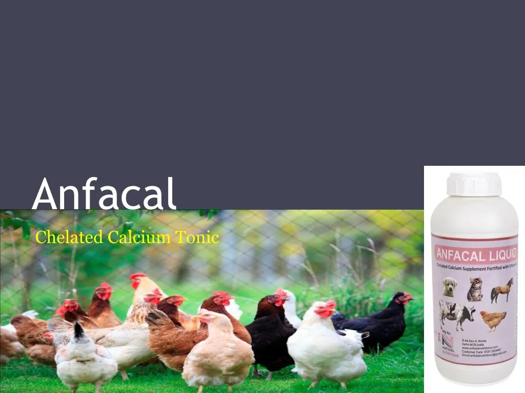 PPT - Calcium tonic for poultry PowerPoint Presentation, free download ...