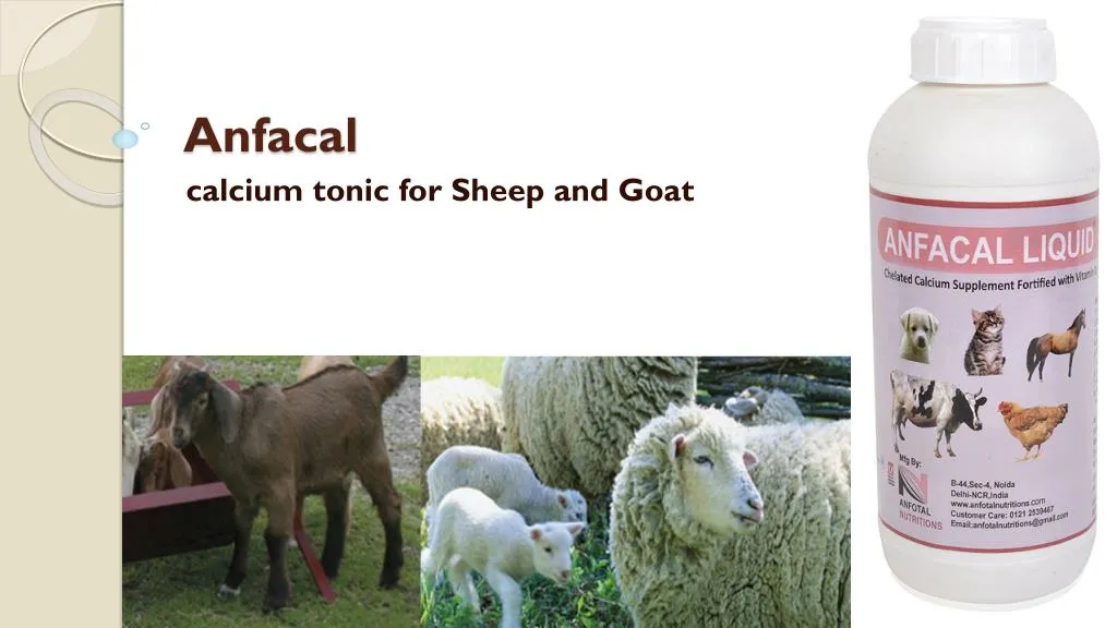 PPT - dairy feed supplements PowerPoint Presentation, free download ...