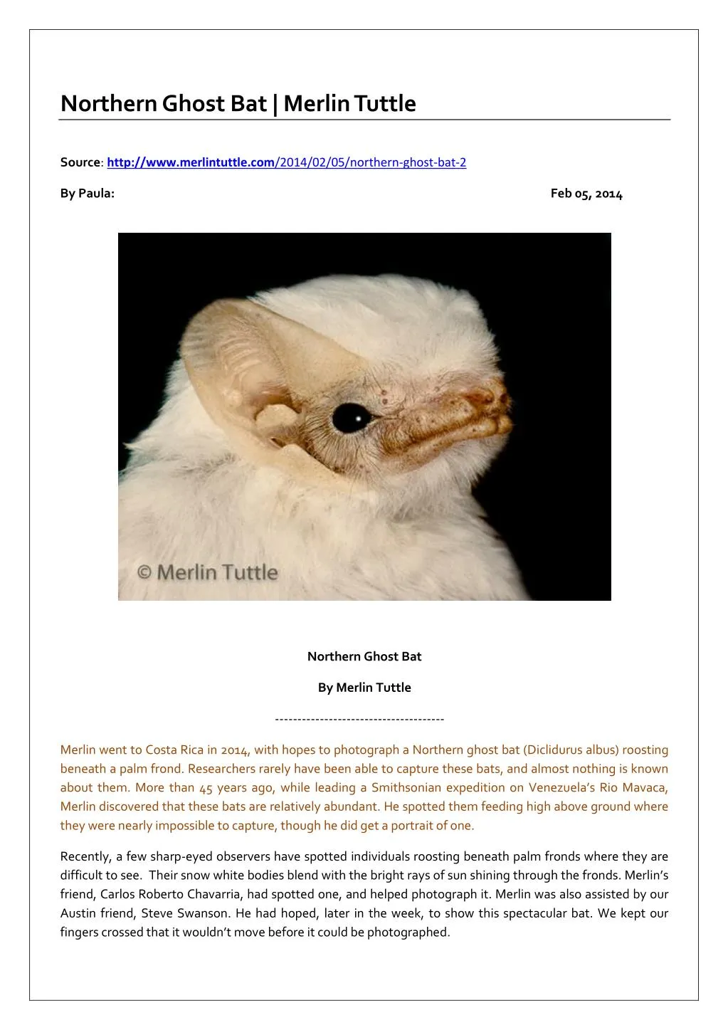PPT - Northern Ghost Bats - Merlin Tuttle's Bat Photography PowerPoint ...