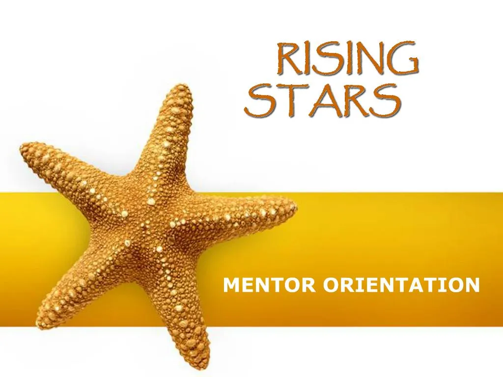 PPT - RISING STARS PowerPoint Presentation, free download - ID:751314
