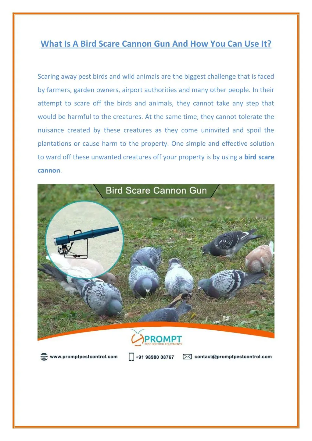 PPT - Bird Scare Cannon - Complete Solution to Get Rid Off Birds ...