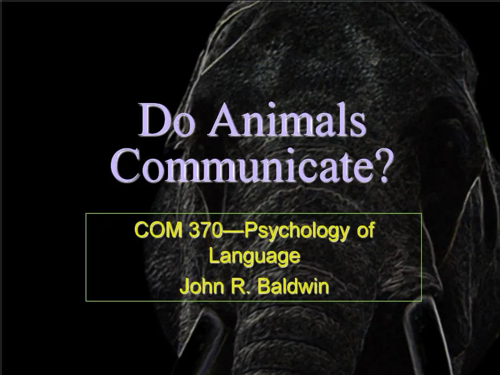 PPT - Do Animals Communicate PowerPoint Presentation, free download ...