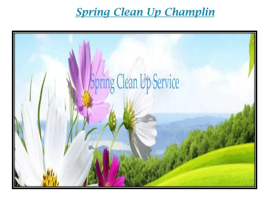 PPT - Spring Clean Up – Dethatching - Ricks Lawn & Snow Solutions, LLC ...