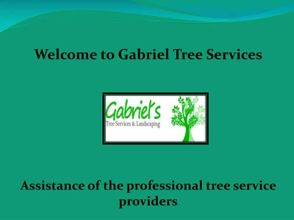 PPT - Tree Service in Los Angeles, Gabriel’s Tree Services and ...