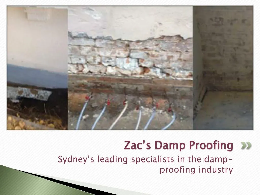 PPT - Make Your Home Damp Free with the Best Damp Proofing Specialists ...