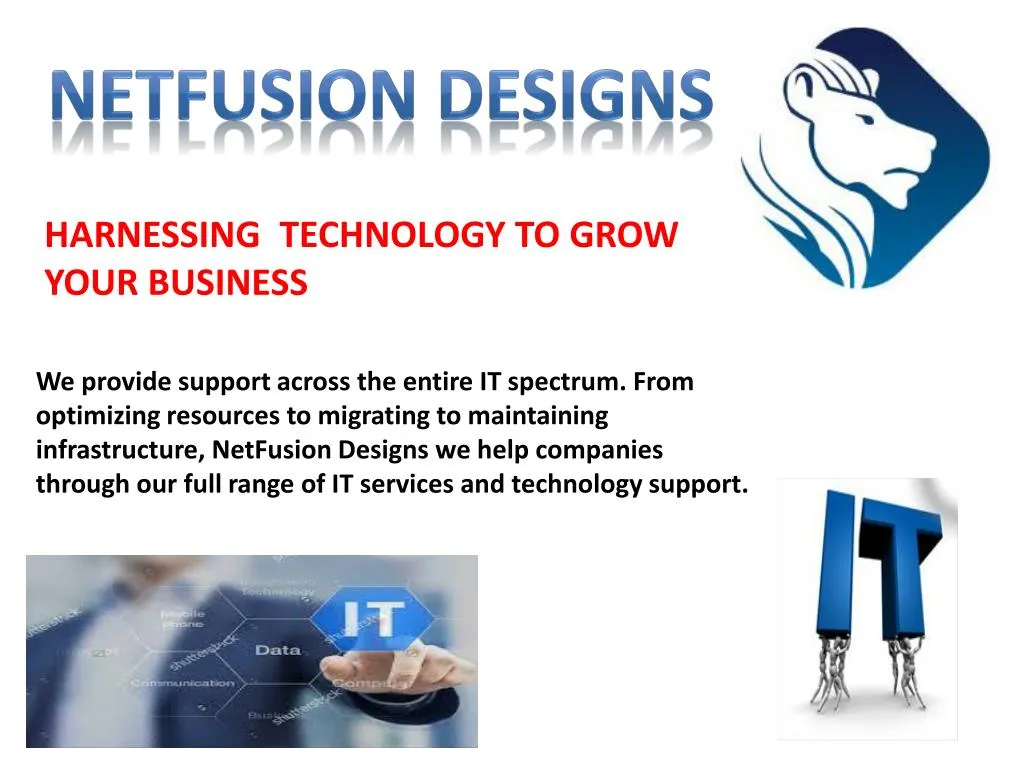 PPT - NetFusion Designs PowerPoint Presentation, free download - ID:7570755
