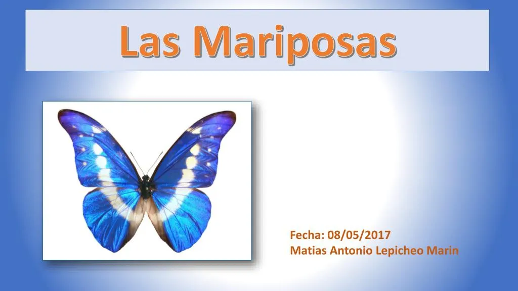 PPT - Mariposas PowerPoint Presentation, free download - ID:7581534