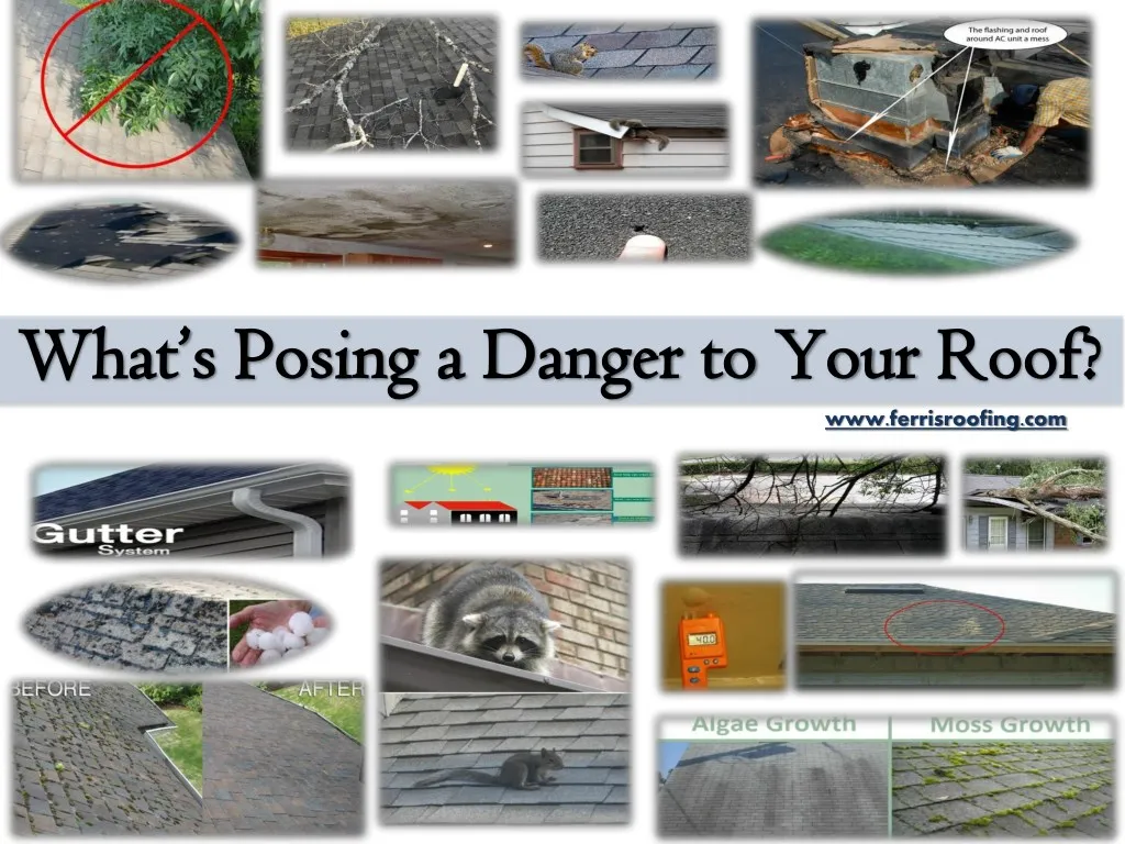PPT - What’s Posing a Danger to Your Roof PowerPoint Presentation, free ...