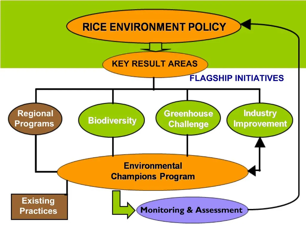 PPT - RICE ENVIRONMENT POLICY PowerPoint Presentation, free download ...