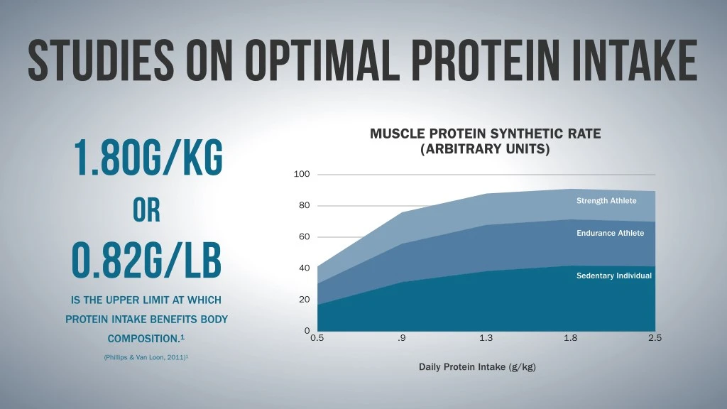 PPT - Protein intake: the 1g/lb myth. PowerPoint Presentation - ID:7596958