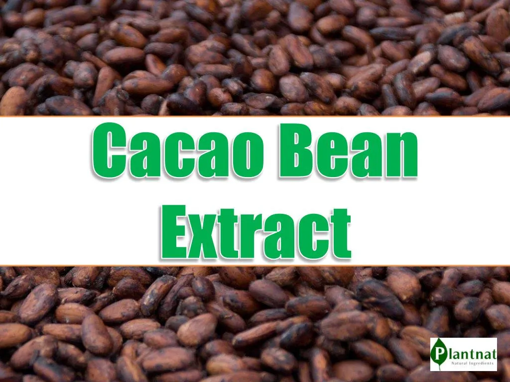 PPT - Cacao Bean Extract PowerPoint Presentation, free download - ID ...