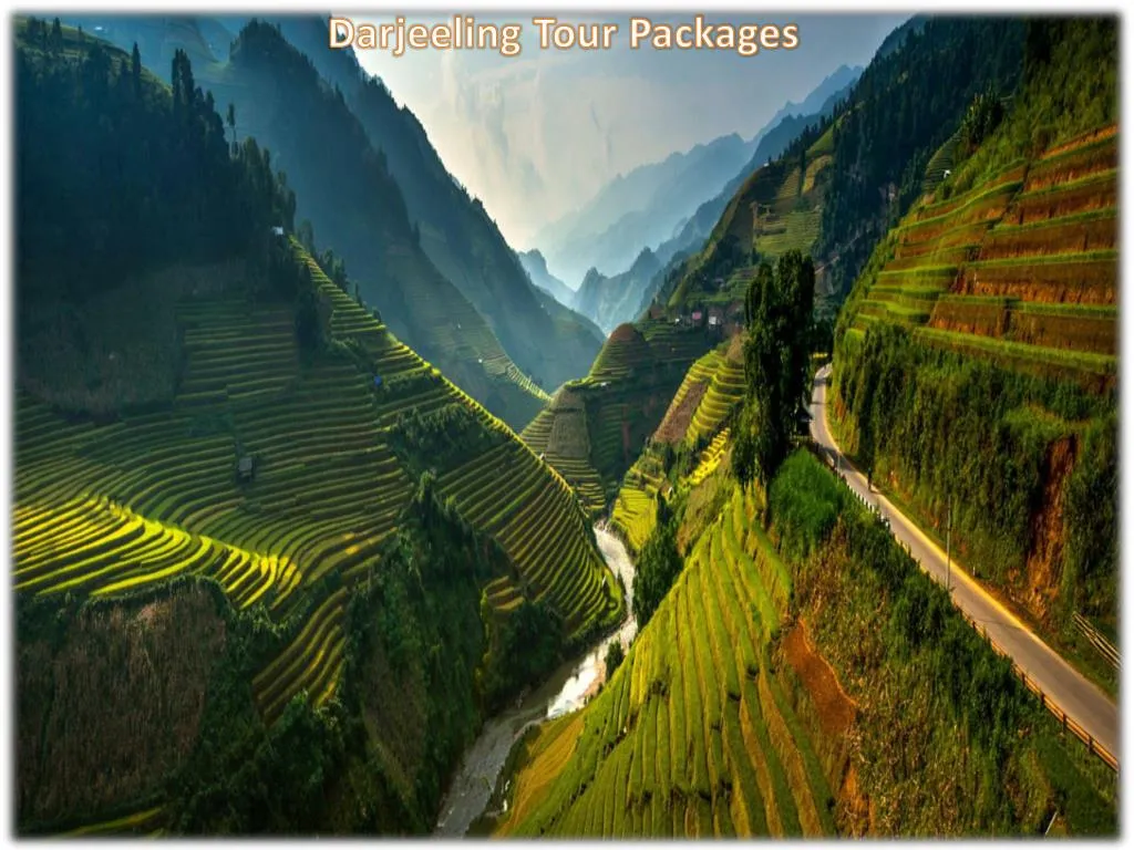 PPT - Take a Tour to the scenic town of Darjeeling Phone Number ...