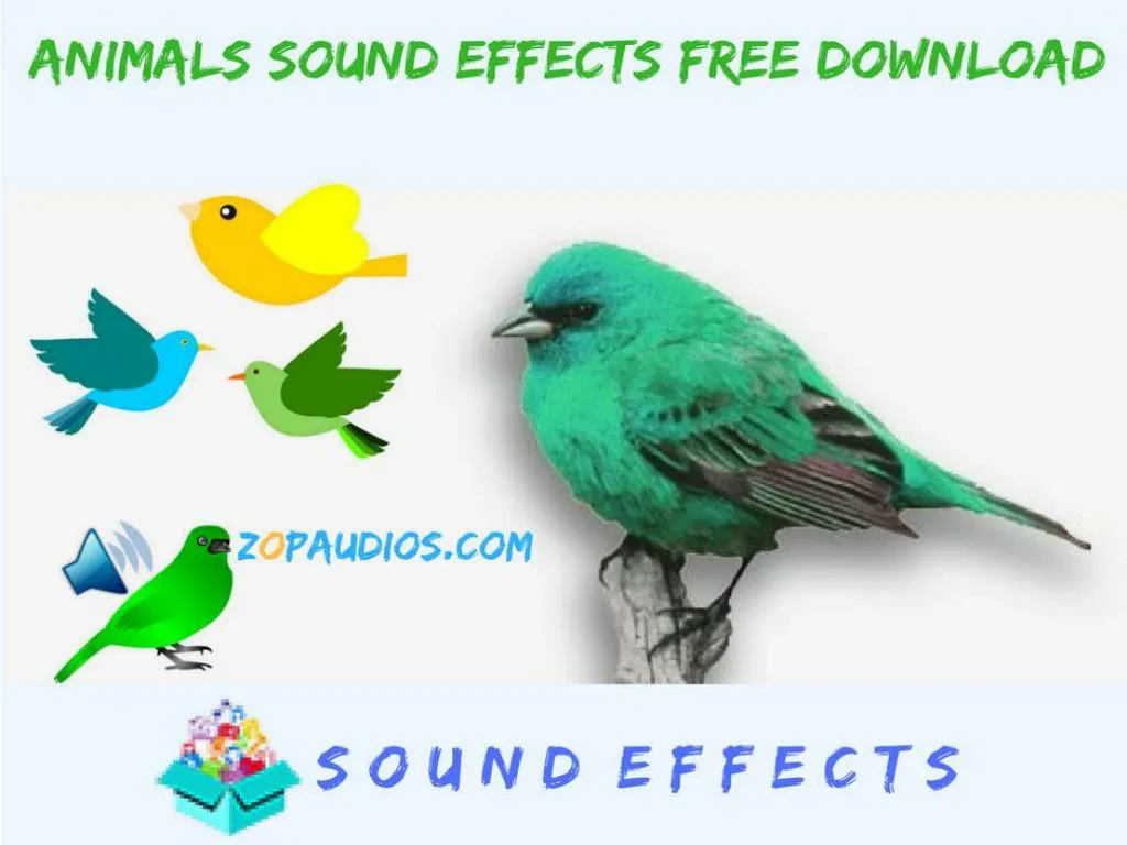 PPT - Bird & Animals Sounds Free Download PowerPoint Presentation, free ...