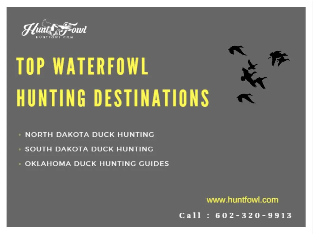 PPT - Top Waterfowl Hunting Destinations PowerPoint Presentation, free ...