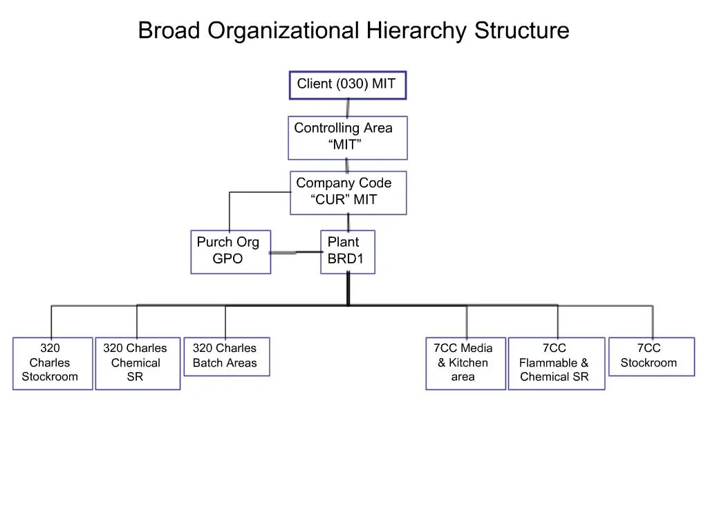 PPT - Broad Organizational Hierarchy Structure PowerPoint Presentation ...
