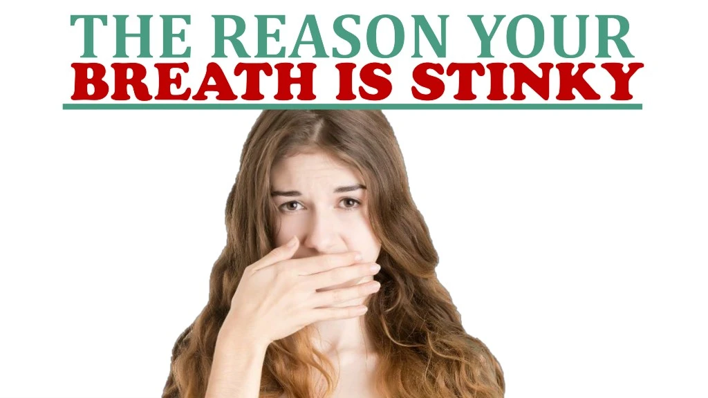PPT - The Reason Your Breath is Stinky PowerPoint Presentation, free ...