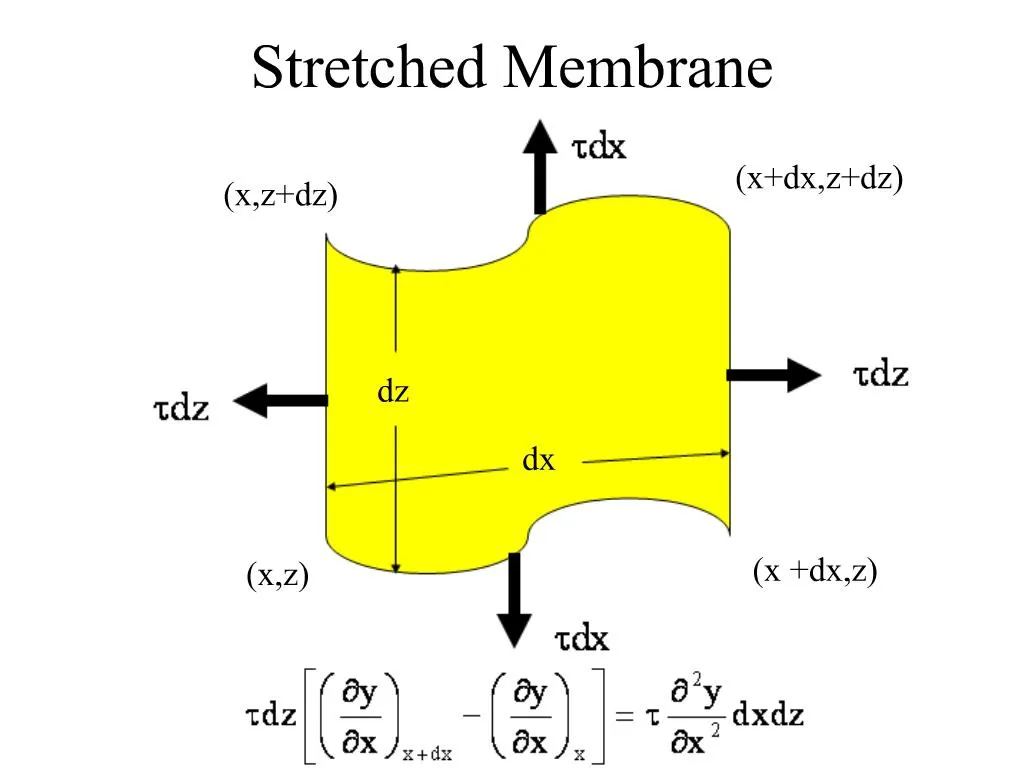 PPT - Stretched Membrane PowerPoint Presentation, free download - ID:764355