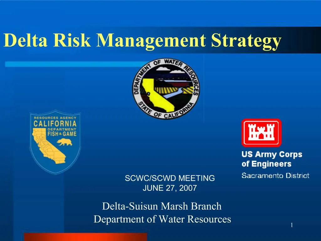 PPT - Delta Risk Management Strategy PowerPoint Presentation, free ...