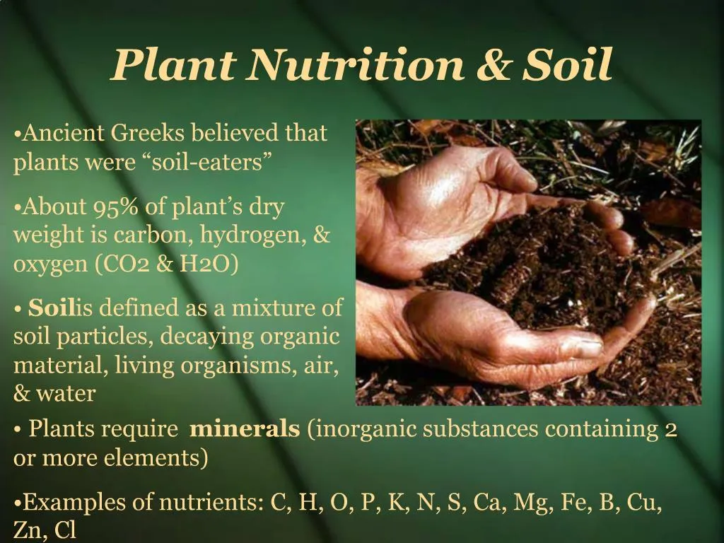PPT - Plant Nutrition Soil PowerPoint Presentation, free download - ID ...