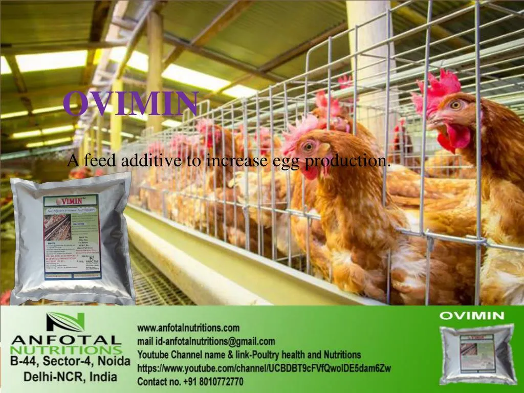 PPT - Egg production enhancer PowerPoint Presentation, free download ...